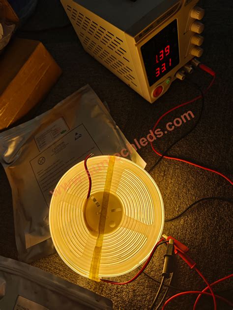 Waterproof Ip Cob Led Strip Sent To Europe Shenzhen Suntech Company Limited