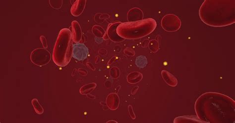 Causes And Symptoms Of Hypercalcemia News185