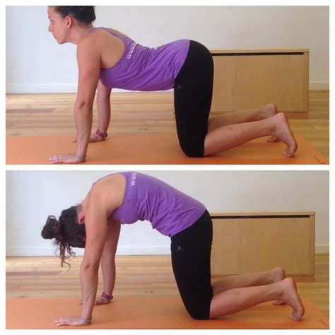 Fitness para el suelo pélvico Blog Dexeus Mujer
