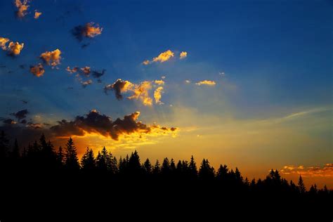 Залез Силует Иглолистна Гора Безплатни фотографии на Pixabay
