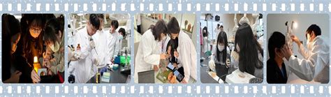 馬偕醫學院 視光學系 Department Of Optometry