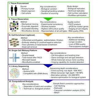 General Workflow Of Single Cell Analysis Download Scientific Diagram