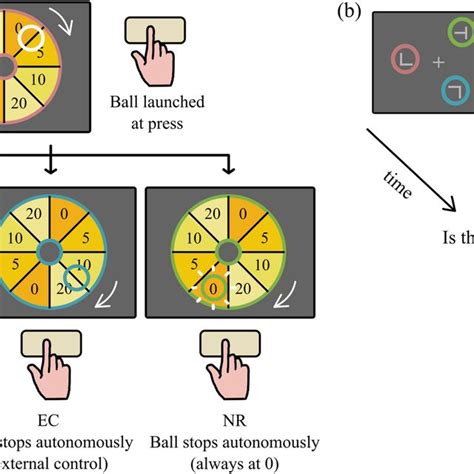 Schematic Examples Of The Stimuli Used In Each Experiment A Training