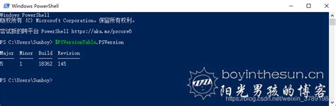 Scoop安装详解使用 1”个参数调用 Downloadstring”时发生异常 无法连接到远程服务器” Csdn博客