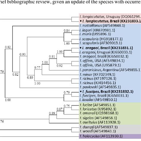 Phylogenetic Analysis Of Ixodes Species Phylogenetic Tree Was Built
