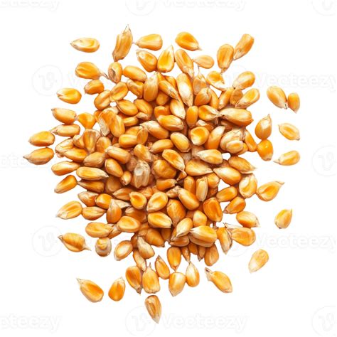Fresh Corn Kernels Arranged On A Clean Surface 52653069 Png
