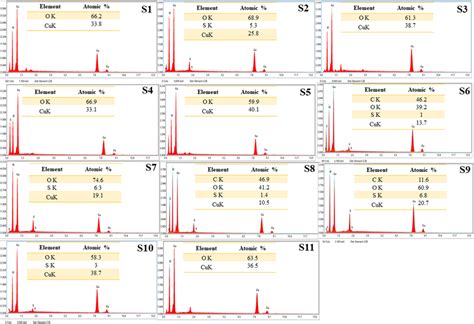 Eds Spectra Of The Biosynthesized Cuo Nps S1s10 And Chemically