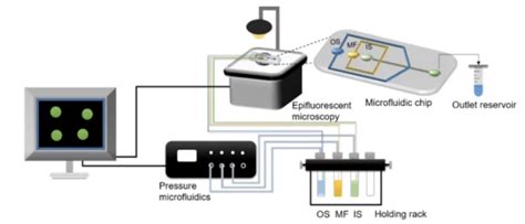 Microfluidic PH Control And Particle Synthesis In Double Emulsions