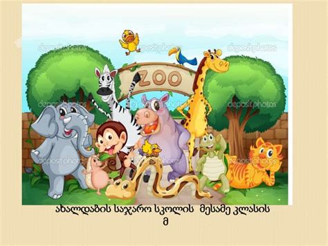 პრეზენტაცია კენგურო Pptx