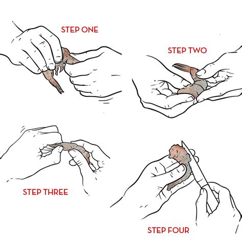 This Is The Right Way To Peel Shrimp