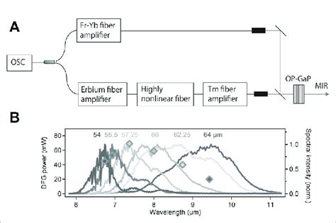 Schematic Of Setup For Dfg Based On A Dual Branch Comb Configuration