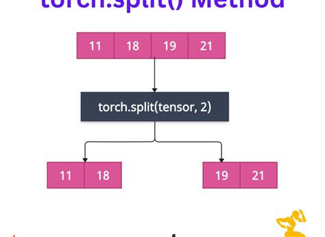Torch Split Splitting A Tensor In Pytorch