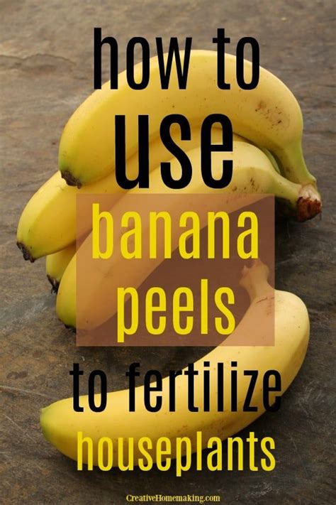 How To Use Banana Peels To Fertilize Houseplants Fertilizer For