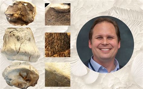 Exceptional Fossil Of Texas State Stone Found In Brazos County Texas