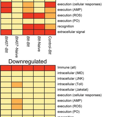 P Value Heatmaps For Different Immunity Related Categories P Values