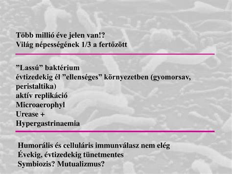 Ppt Helicobacter Pylori Powerpoint Presentation Free Download Id