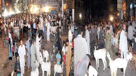 شہر کی دنیا قربانی کے جانوروں کی جگہ جگہ خریدوفروخت،ٹریفک جام