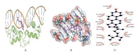 Schematic Diagram Of Molecular Docking Results In Less Than
