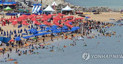 폭염에는 바다가 최고