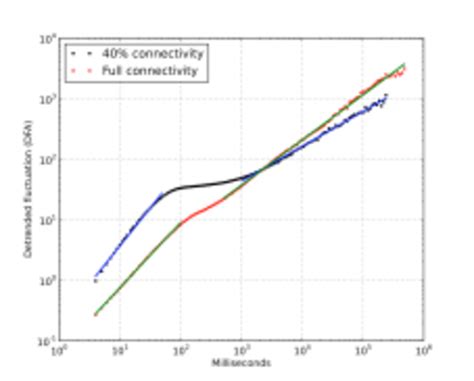 Detrended Fluctuation Analysis Of The Network Activity Shows The Download Scientific Diagram