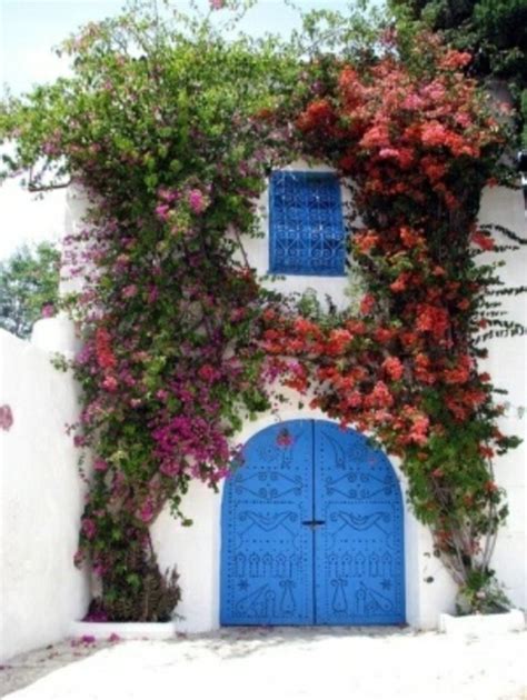 Des Plantes Grimpantes Pour Balcon Et Terrasse On Est Toujours Dans