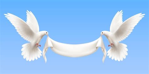 Images De Colombe Deuil Téléchargement Gratuit Sur Freepik