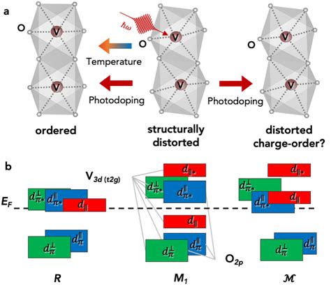 Vanadium Dioxide — Mina R Bionta