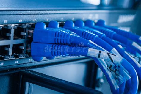 Blue Ethernet Cables Connected To Switch Stock Photo Image Of Connect Internet 245774102