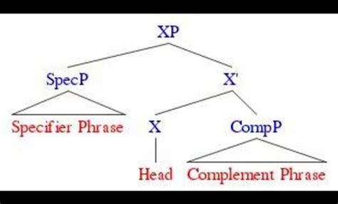 Help You To Draw Syntax Trees By Ravikiranch Fiverr