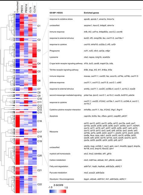 Figure Supplement 1 Hierarchical Clustering Heatmap Of The Degs Under