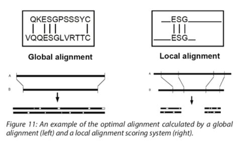 Bioinformatics Flashcards Quizlet Bioinformatics Flashcards Quizlet