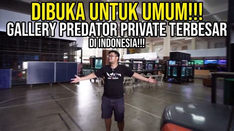 DI BUKA UNTUK UMUM GALLERY IKAN PREDATOR PRIVATE TERBESAR DI