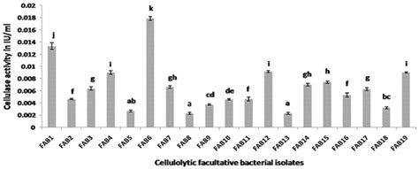 Cellulase Activity Of Facultative Anaerobic Cellulolytic Bacterial