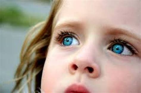 10 Facts About Blue Eyes Fact File