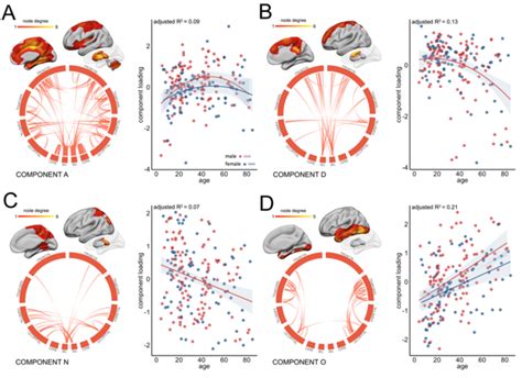 Age Related Variation In Component Strength Four Network Components