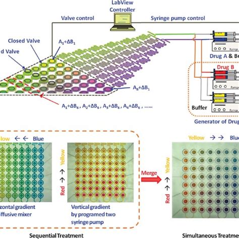 Cross Sectional View Of The Microfluidic Array Cross Sectional View Of Download Scientific