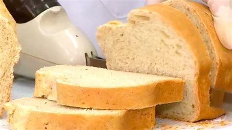 Cómo Un Pan Hecho Con Cucarachas Tiene Más Proteína Que La Carne
