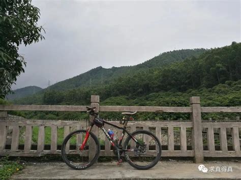 Freeswitch的任务引擎问题与解决方案 知乎