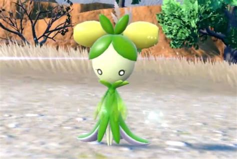Smoliv Evolution Guide Stats Moves Type And Location Cheat Code