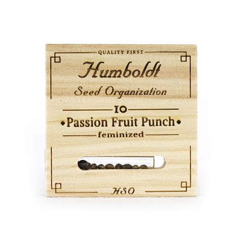Passion Fruit Punch