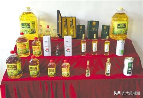 發展產業是實現脫貧的根本之策——記產業扶貧的永順經驗 每日頭條