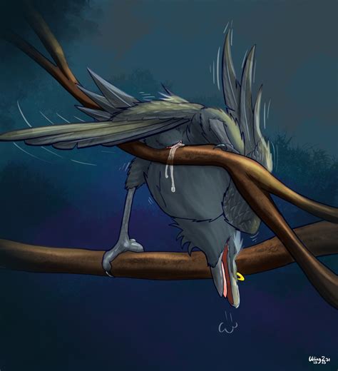 Rule 34 2023 Ambiguous Gender Animal Genitalia Avian Bird Black Body