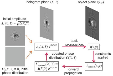 iterative reconstruction scheme h 0 x y is the normalized hologram