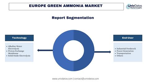 Marché Européen De Lammoniac Vert Analyse Actuelle Et Prévisions