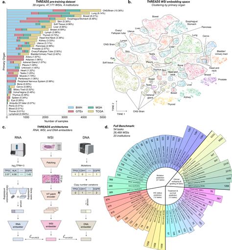논문 리뷰 Molecular Driven Foundation Model For Oncologic Pathology