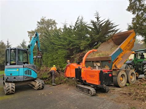 Tree Shredding Video Tipperary Tree Surgery