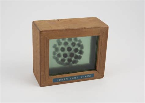 Three Dimensional Electron Density Map Glass Of Human Wart Virus Science Museum Group Collection