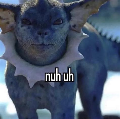 Nuh Uh Know Your Meme