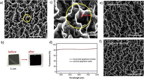 A Sem Image Of The Sample Surface With Full Coverage Of Graphene