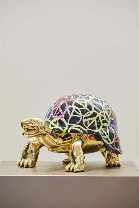 Peace Turtle Cjs Gallery